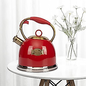 Tea Kettle, Stovetop Whistling Teapot, Stainless Steel, Black, 3.0-Quart