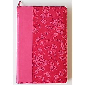 Biblia Reina Valera 1960 letra grande. Símil piel fucsia, cremallera, índice, ma nual / Spanish Bible RVR 1960. Handy Size, Large Print, Leathersoft