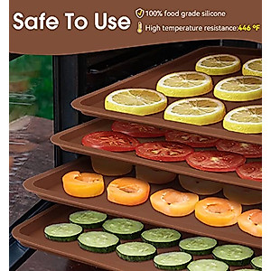 4 PCS Silicone Dehydrator mats with Edge, Fruit Roll Sheet Compatible with Cosori CP267-FD & Magic Mill, BPA-Free Silicone Tray Liners for Fruit Leather, Vegetables, Meat, Herbs and Liquid