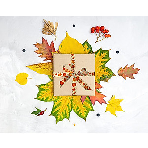 4 Rolls Fall Ribbons 3/8" Grosgrain Satin Pumpkin Maple Leaves Ribbons Orange Ribbons Autumn Give Thanks Words Thanksgiving Ribbon for Gift Wrapping Bows Fall Crafts Supplies 0.4/0.8inch, 20Yards