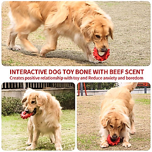 QWKNY Dog Chew Toy for Aggressive Chewers – Interactive and Tough Dog Toy for Puppies and Small Dogs, Durable Tire Dog Toy Perfect for Dental Health and Stress Relief