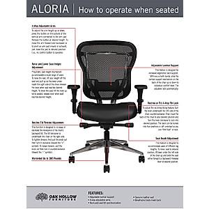 Oak Hollow Furniture Aloria Series Office Chair Ergonomic Executive Computer Chair, Genuine Leather Seat Cushion, Mesh Back, Adjustable Lumbar Support Swivel and Tilt High-Back (Black)