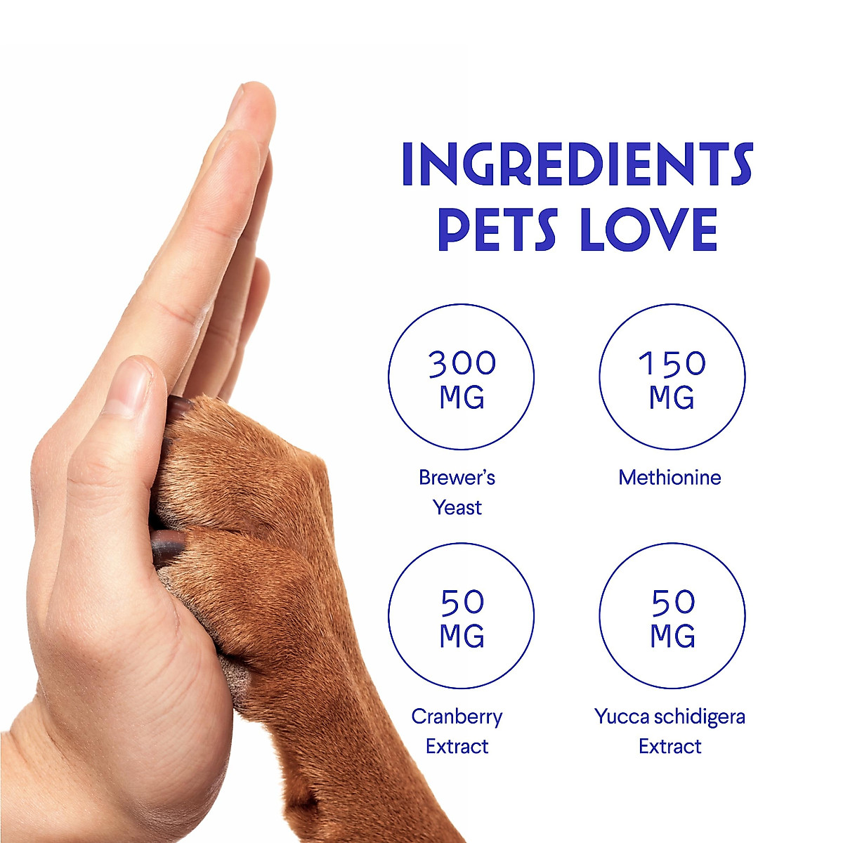 Wonder Paws Grass Hero, Grass Burn Spot Chews – Neutralizes Urine to Prevent Yellow Lawn Spots – Dog Pee Lawn Saver, Spot Treatment & Urinary Health – Cranberry & Methionine – 60 Soft Chews