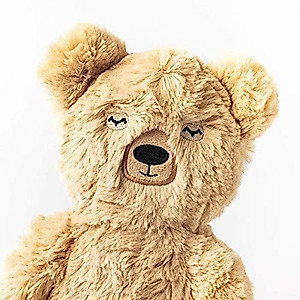 Slumberkins 14" Kin & Board Book | Promotes Gratitude, Respect & Sharing | Social Emotional Tools for Ages 0+ (Honey Bear Kin & Board Book)