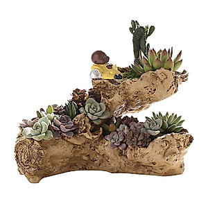 Hemoton Succulent Cactus Pot Sculpture Holder Plant Pot Sculpture Table Centerpieces Driftwood Plant Pot Driftwood Sculpture Astetic Room Decor Succulents Pots Succulent Bowl Outdoor