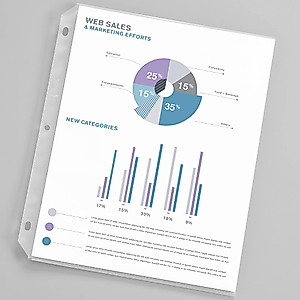 Avery Clear Heavyweight Sheet Protectors, Non-Glare, Easy Load, 200 Document Protectors (74401)