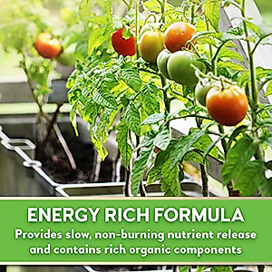 Seedlingers L-PF-032-C Plant Fertelixir 32oz Concentrate