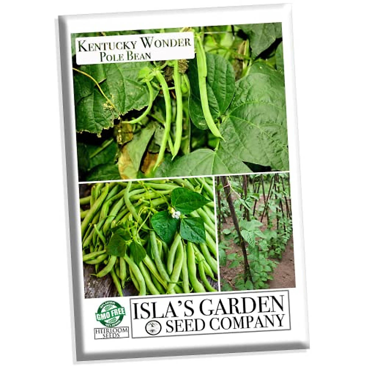 Kentucky Wonder Pole Bean Seeds for Planting, 30 Heirloom Seeds Per Packet, (Isla's Garden Seeds), Non GMO Seeds, Botanical Name: Phaseolus vulgaris, Great Home Garden Gift