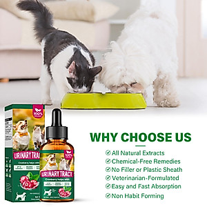 Cat & Dog UTI Treatment - Urinary Tract Support for Pets，Cranberry Kidney and Bladder Supplements, Pet Renal Health Care, Prevention and Treatment