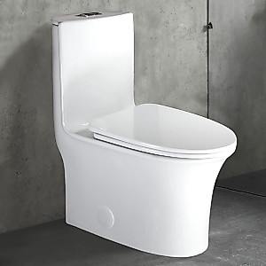 WinZo Elongated One Piece Toilet 3-in Dual Flush with Soft Closing Seat For Modern Bathroom,White (5020)