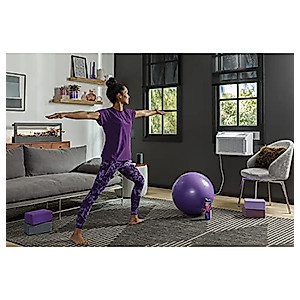 GE Profile ClearView Window Air Conditioner 8,300 BTU, WiFi Enabled, Ultra Quiet for Medium Rooms + GE Profile Air Purifier | Removes Allergens, Odors & Other Impurities Bundle