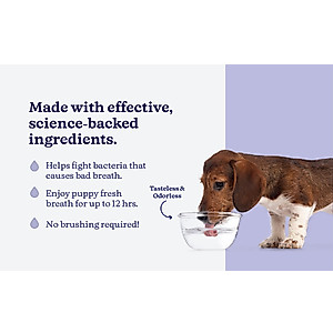 ROSEY'S PUPPY FRESH BREATH - Dog Water Additive for Dental Care - Maintains Fresh Breath & Clean Teeth for Dogs - Dog Breath Freshener for Promoting Healthy Gums & Fights Plaque Buildup - 8 Oz