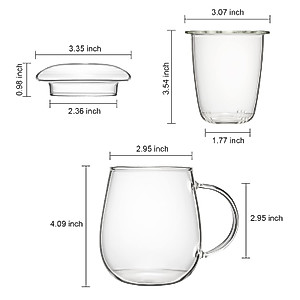 Glass Tea Infuser Cup with Strainer and Lid Gift Kit, Borosilicate Glass Teacup with Tea Filter for Blooming Tea and Loose Leaf Tea, Filter 99% of Tea Leaves, Lead-free, 17oz