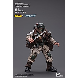 JoyToy Warhammer 40K: Astra Militarum Cadian Command Squad Veteran with Medi-Pack 1:18 Scale Figure