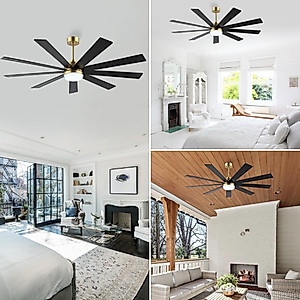 LEDLUX 65" DC Motor Ceiling Fan with Light, 6-Speed Remote Control, Reversible Motor, Modern 9 Blades Ceiling Fan with 4.5"/12" Downrods for Home or Commercial Black/Gold