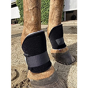 Horse Bedsore Boots with Soft Synthetic Sheepskin Lining, Providing Comfort and Protection Against Pressure sores. Aids in Healing. Veterinarian Approved.