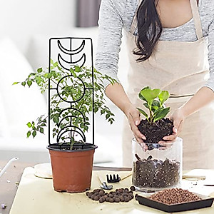 Moon Phase Plant Trellis Indoor Houseplant Trellis for Climbing Plant 17.2" Small Garden Trellis Potted Plant Metal Wire Trellis Set of 2