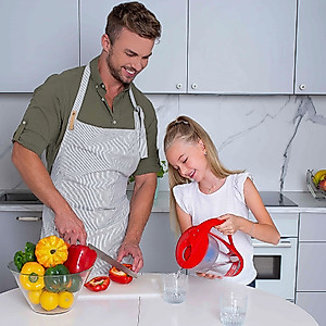 DAFI LED Glass Water Filter Pitcher 64 oz with Alkaline Filter + 3pack Alkaline Filters | Filters Compatible with Brita | Water Purifier Filter Jug Water Purifer | Water Cartridges | Red