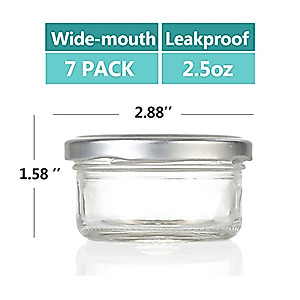 Delove 2.5 oz Small Glass Condiment Containers with Lids - Salad Dressing Container to Go - Dipping Sauce Cups Set - Leak proof Reusable Sauce Containers for Lunch Box - 7pack (Sliver)