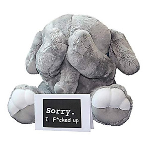 I'm Sorry Apology Card - Forgive Me Notecard - Funny Cute Greeting Card Gift for Him & Her - Large Size [5x7 IN] Sorry Cards, White, 5 x 7 inches