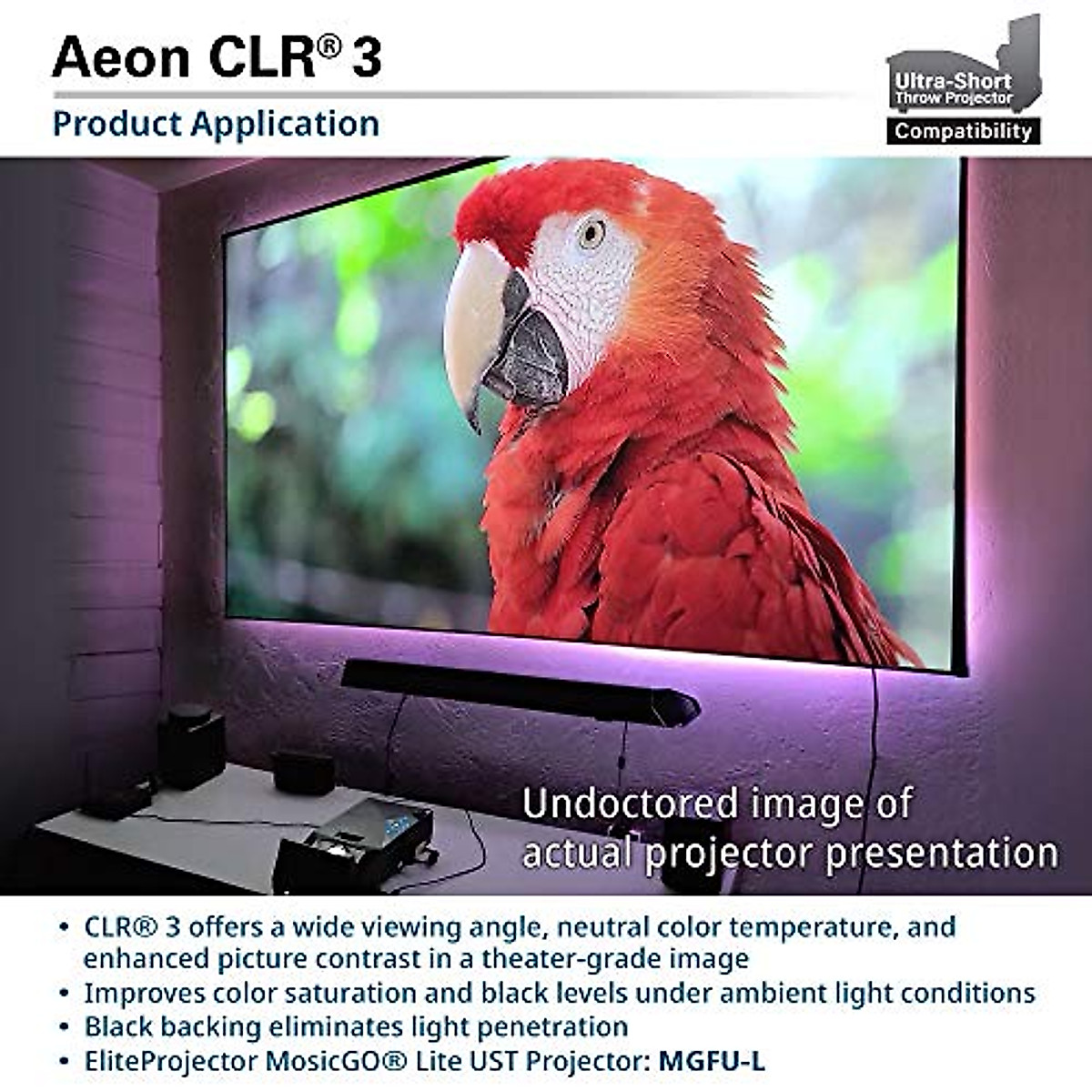 EliteProjector Screens Aeon CLR® 3, 115" Diag. 16:9, Edge Free® Ceiling Ambient Light Rejecting Fixed Frame Projector Screen, AR115H-CLR3