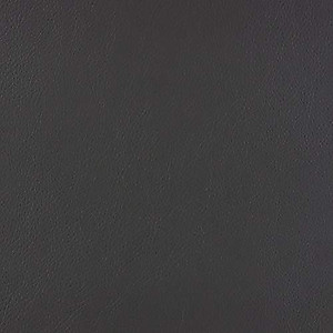 Lexicon Roff Living Room Sofa, Gray