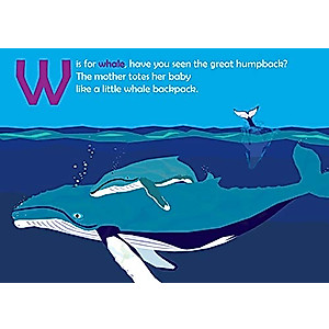 B is for Boston (Alphabet Cities)