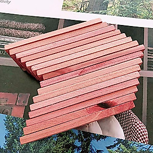 Cedar Space Cedar Blocks for Clothes Storage, 100% Aromatic Red Ceder Blocks, Cedar Planks, Cedar Accessories for Closets Storage, 16 Pcs
