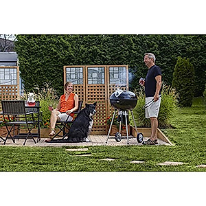 Napoleon NK22K-LEG-2 Built in Grills, Black