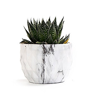 SE SUN-E Sun-E Modern Style Marbling Ceramic Flower Pot Succulent/Cactus Planter Pots Container Bonsai Planters with Hole 3.35 Inch Gift Idea(4 in Set) Plants Not Included