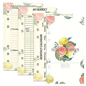 2023-2024 Weekly & Monthly Planner,A6 Budget System Refill for Budget Binder Cover,6 Hole Budget Planner Money Envelopes Organizer for Wallet,Binder Money Organizer for Cash(A)