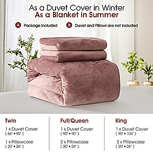 Grassix Velvet Queen Duvet Cover Set, Luxury Velour Duvet Cover 3 Pcs Duvet Cover Sets with 2 Pillowcases, Super Cozy Comforter Cover Sets Zipper Closure with 8 Corner Tie for All Seasons