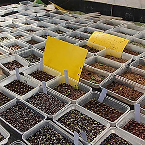 BestTrap ST2035 Sticky Traps, Flying Traps for Fruit Fly, Fungus Gnats, Aphids, Other Flying Insects, 6x8 Inch, 20 Pack - Yellow