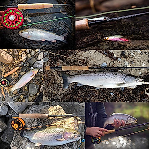 Maxcatch -Black Star- Fly Fishing Rod: IM10 Carbon Fiber, Pacbay Minima Guide, Anodized Reel Seat, 4-Piece, 4/5/6/7/8 wt (Black Star Rod, 9' 5wt)