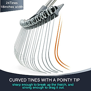 Colwelt Thatch Rake -24 Steel Tines, Dethatching Rake with 54’’ Lightweight Stainless Steel Handle, Yard Dethatcher Rake for Lawn(Pine Needles, Dead Grass, Thatch, Leaves, Mulch)