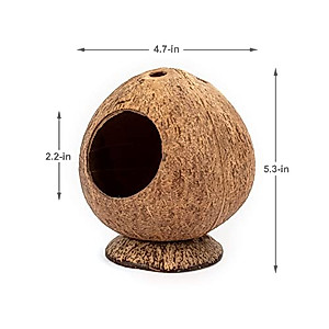 Ostein Natural Coconut Hut Hamster House Bedfor Gerbils Mice Small Animal Cage Habitat Decor,Pet Cave Small Animal Cage Habitat Decor Hanging Guinea Pig