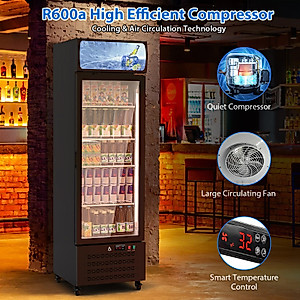 ACONEE Commercial Display Refrigerator, Black