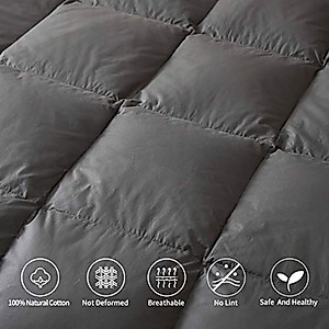 ENMUJOY Goose Down Comforter Twin Size Duvet Fluffy All Season Bedding Medium Warmth Soft 100% Organic Cotton Cover 8 Corner Tabs 33 oz (Grey, Twin)