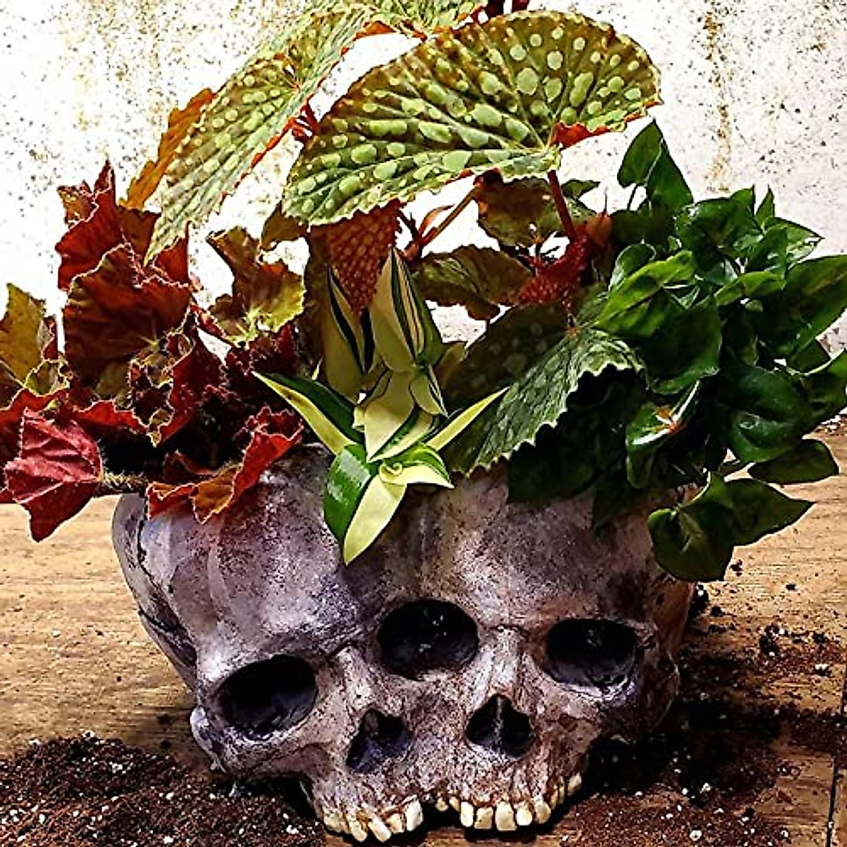 BEFOKA Resin Skull Planter, Gothic Retro Skull Head Flower Succulents Pot, Outdoor Indoor Garden Planter, Gothic Statue Sculpture Skeleton Decor (A)