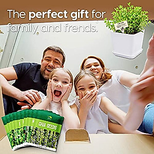 REALPETALED Indoor Herb Garden 10 Non-GMO Herbs– Complete Kitchen Herb Garden with 10 Reusable Pots, Drip Trays, Soil Discs and Seed Packets