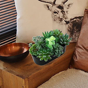 Fake Succulent, Artificial Succulents, Faux Succulents, Artificial Succulents Plants, Fake Succulent Unpotted, Bulk Artificial Succulents for Birthday Home Decor Indoor Wall Garden DIY, Pack of 13