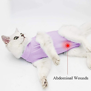 Cat Professional Recovery Suit for Abdominal Wounds and Skin Diseases, E-Collar Alternative for Cats and Dogs, After Surgey Wear Anti Licking, Recommended by Vets（Purple,M