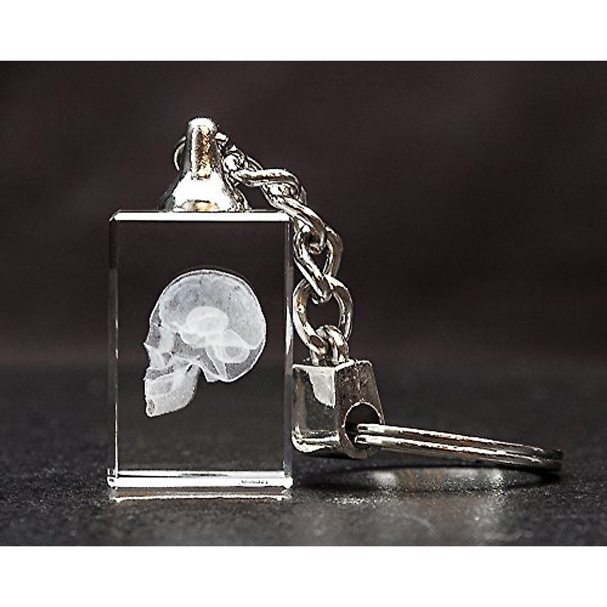 Blue Tree Publishing Skull and Brain 3d Laser Key Chain Crystal, Anatomy
