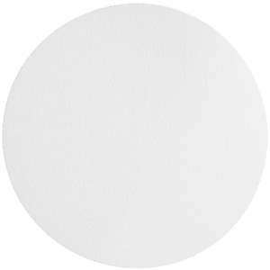 Whatman 1005-325 Quantitative Filter Paper Circles, 2.5 Micron, 94 s/100mL/sq inch Flow Rate, Grade 5, 25mm Diameter (Pack of 100)