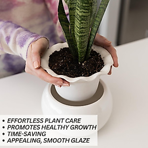 African Violet Pots 6 Inches Ceramic, Effortless Self Watering Pots for Indoor Plants for Busy Plant Lovers, Easy Plant Self Watering Pot, Plant Pots, Flower Pot, Plant pots Indoor