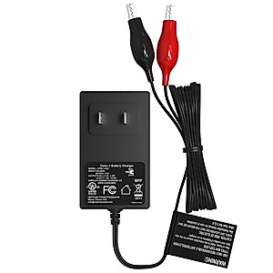Neptune Power Products Smart Battery Charger NTBC1000 Replacement For Battery Tender Junior 12V Charger/Maintainer: Automatic 12V For Powersports Motorcycle, ATVs, and More (1)