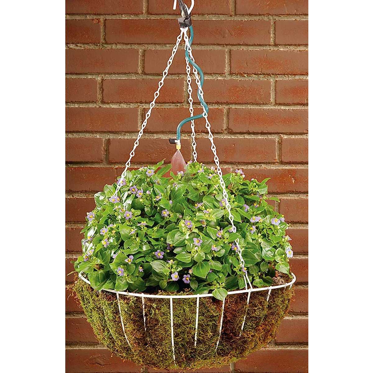 Orbit 56311 Hanging Basket Drip Irrigation Drip Watering Kit with Flex Misters,Black