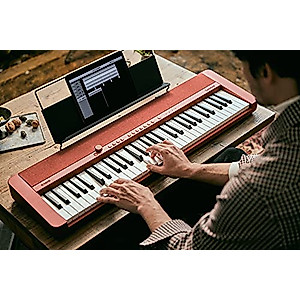 Casio Casiotone CT-S1 61-Key Portable Digital Keyboard - Red Bundle with Adjustable Stand, Bench, Headphones, Sustain Pedal, Instructional Book, Instructional DVD, and Austin Bazaar Polishing Cloth
