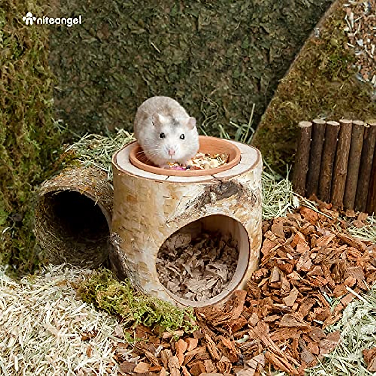 Niteangel Hamster Hideout Tree Trunk Tunnel for Dwarf Syrian Hamsters Gerbils and Small Animals (Tunnel Hideout w/Bowl)