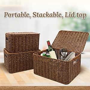 WeeNest Baskets with Lids, Wicker Storage Baskets with Lids, Shelf Baskets for Organizing, Baskets with Lids for Organizing, Wicker Decorative Basket, Resin Wicker Set of 3, Toffee